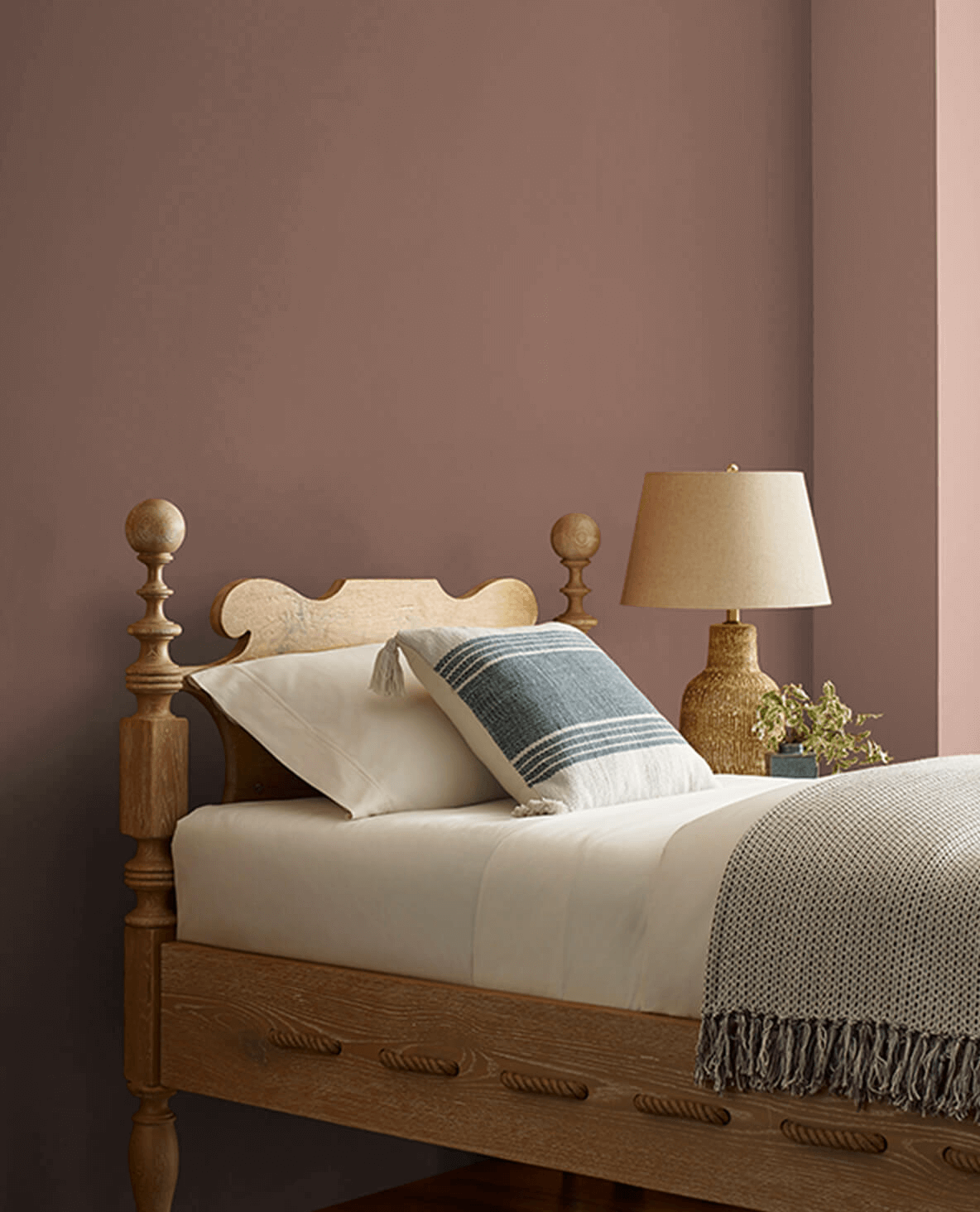 Hot Chocolate Paint Color