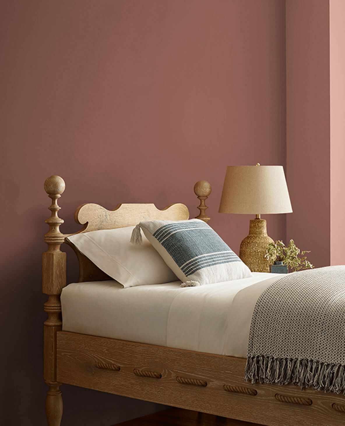 Canyon Clay Color Palette