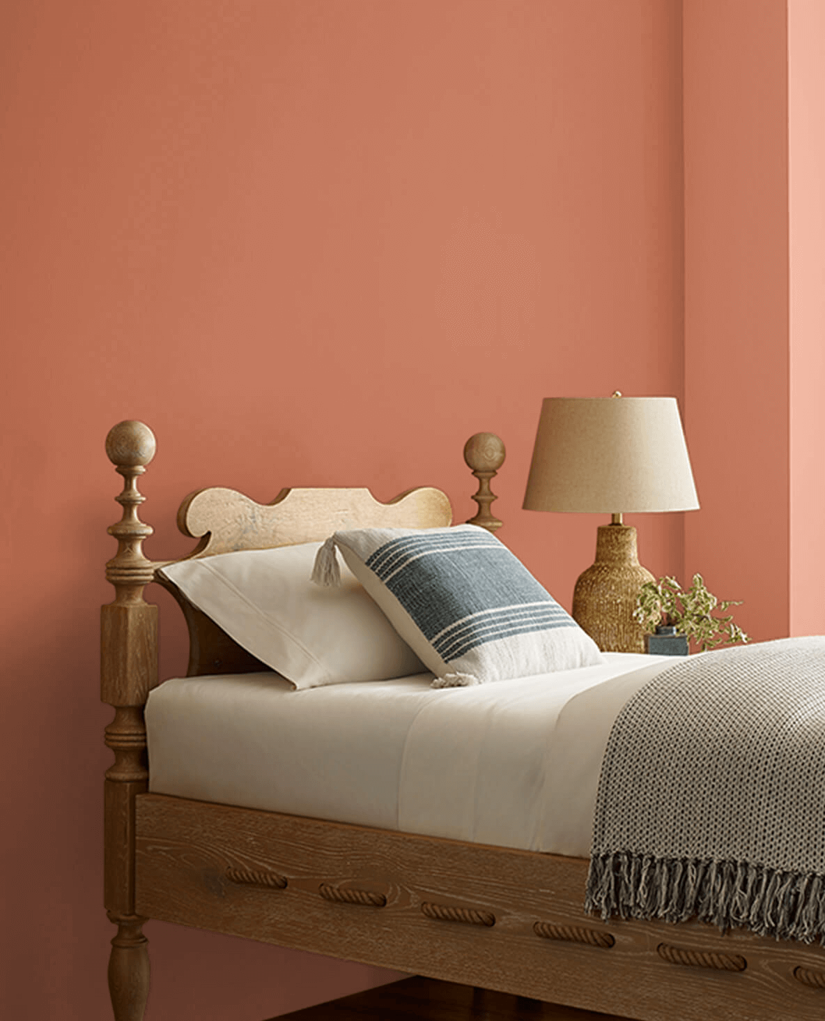 Sherwin Williams Terracotta Terracotta Clay Brown Solid Color Accent