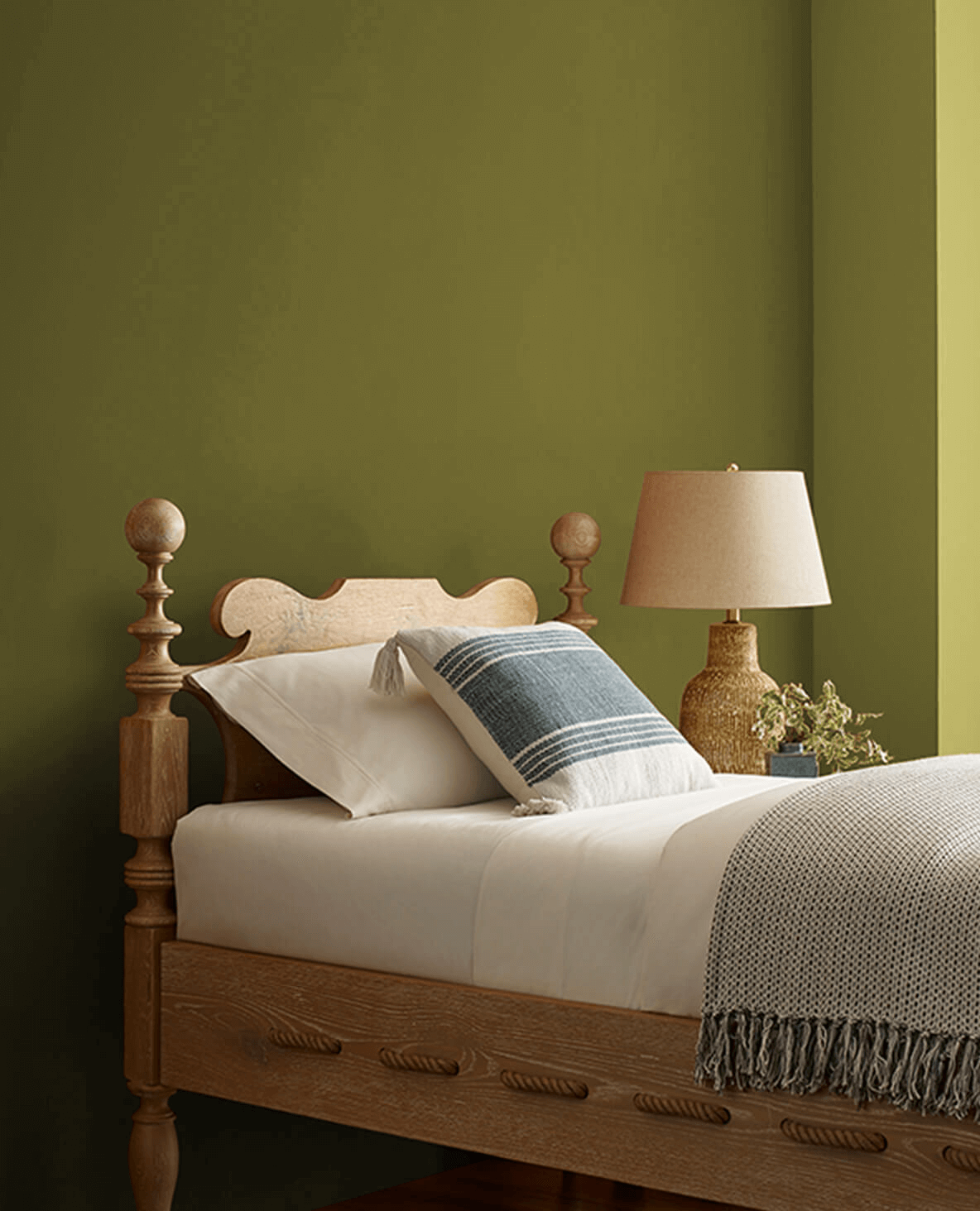 Top 6 Moss Green Paint Colors Sw 6419 Saguaro By Sherwinwilliams
