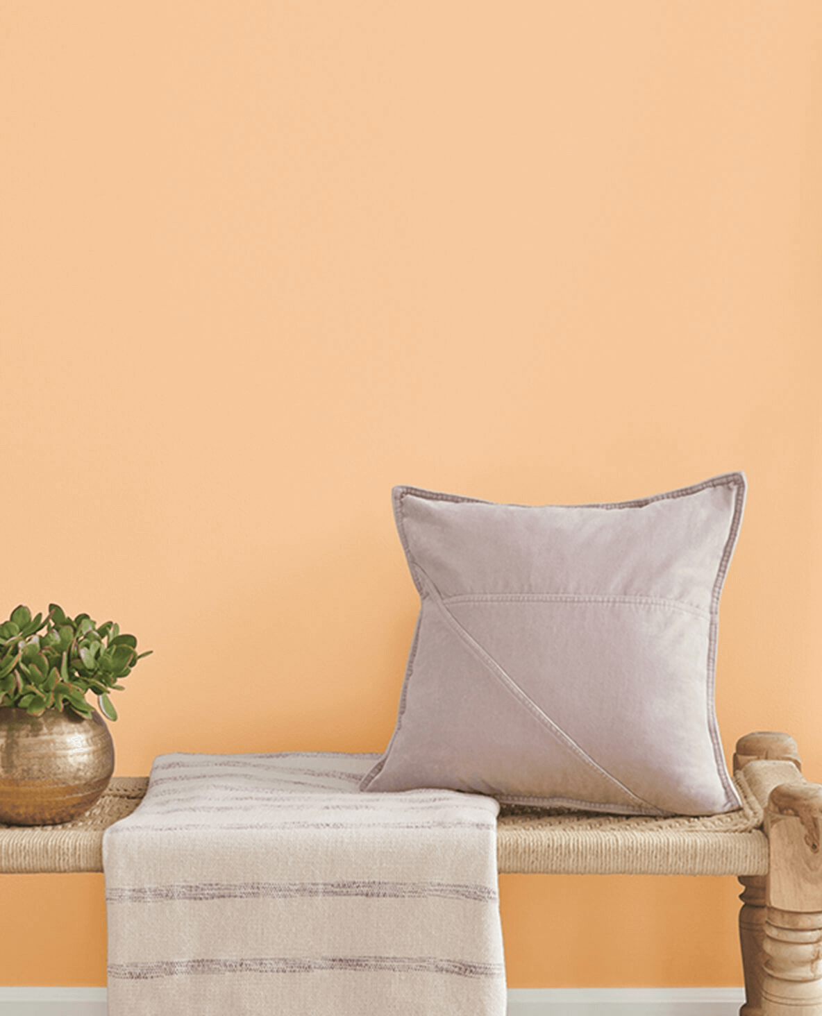 Sherwin Williams Burnt Orange