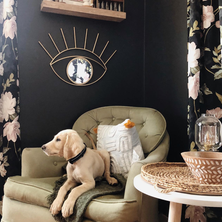 Tin Lizzie SW 9163 | Neutral Paint Colors | Sherwin-Williams