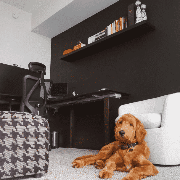 Black Magic SW 6991 | Neutral Paint Colors | Sherwin-Williams