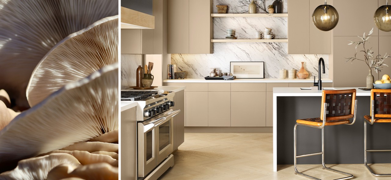 Colormix® Trends and Influences | Sherwin-Williams